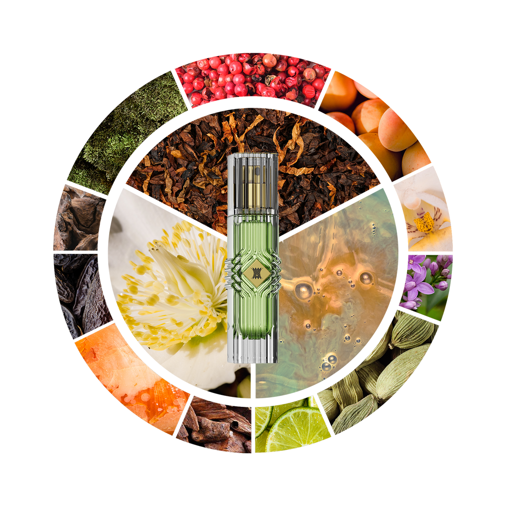 Five Senses Travel Perfume – House Of Dastan