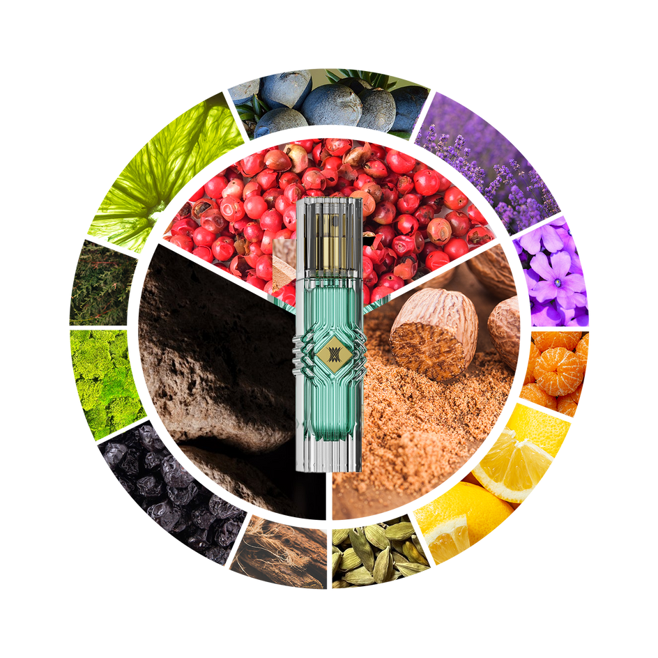 Light Breeze Travel Perfume – House Of Dastan