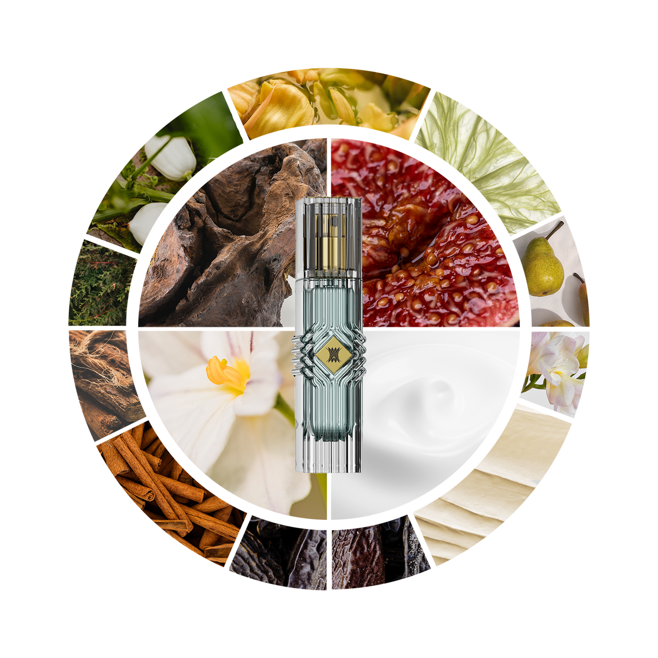 You? Travel Perfume – House Of Dastan